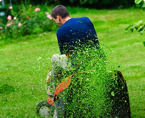 Landscape design - Xera.fr | désinsectisation-dératisation 75-77-91